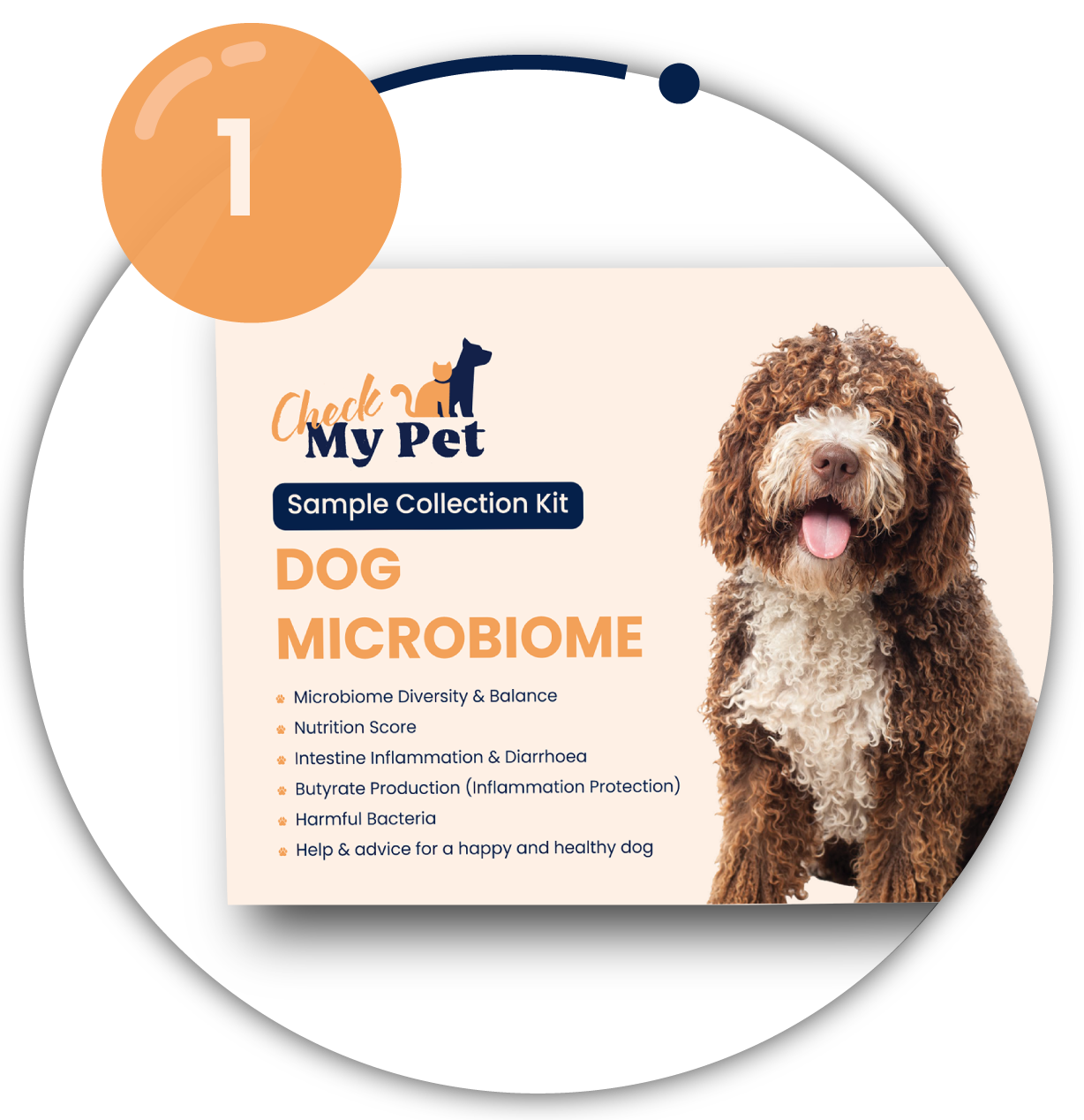 Cat and Dog worm count kit - CheckMyPet